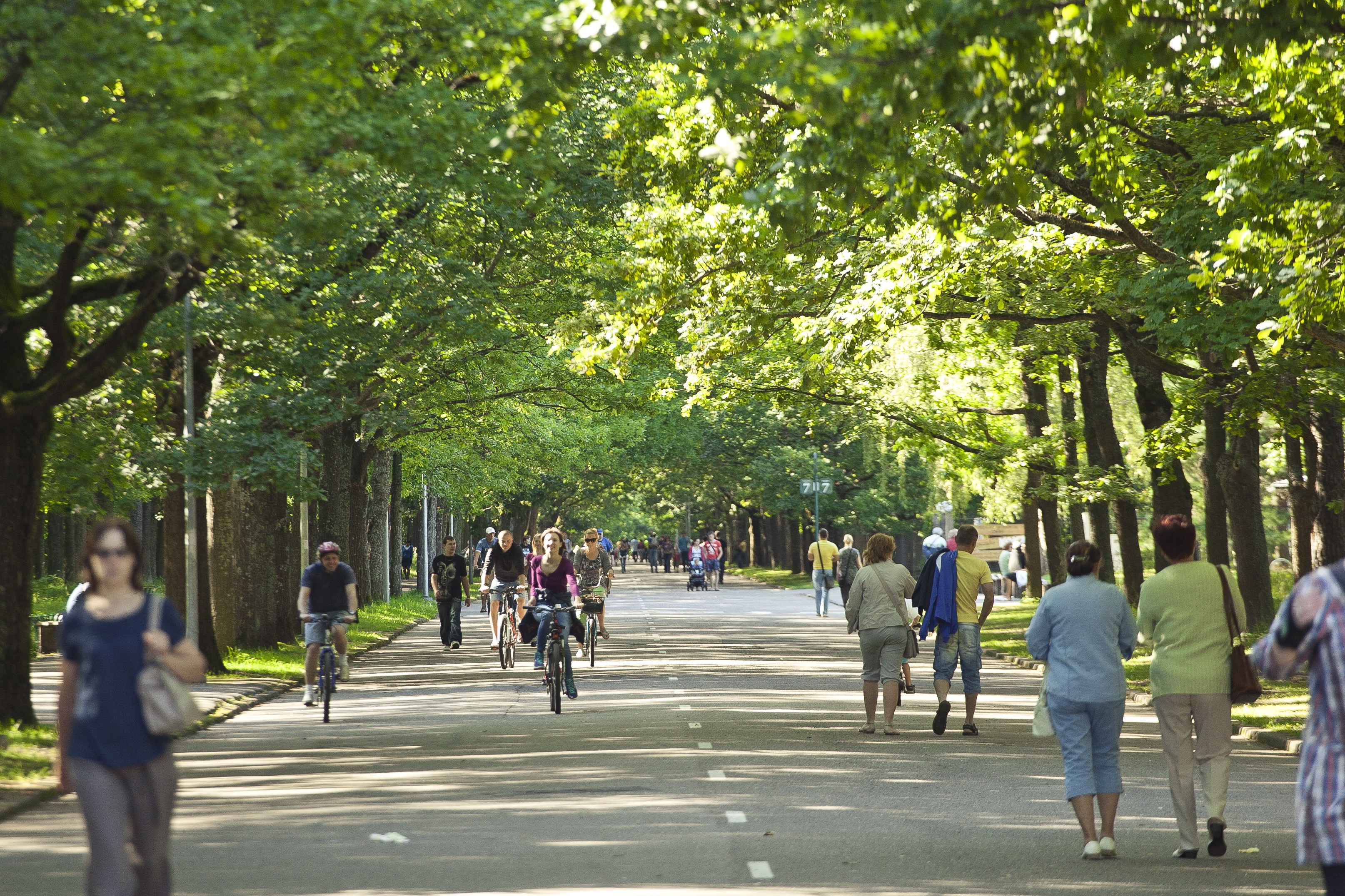 Dzīvokļi, mājas un apbūves zeme Mežaparkā