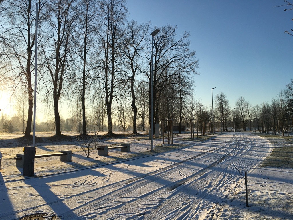 Dzīvokļi, mājas un apbūves zeme Mežaparkā